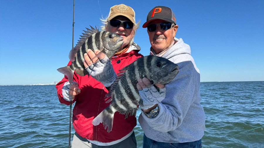 Sheephead Fishing Tampa Bay - Angling TV
